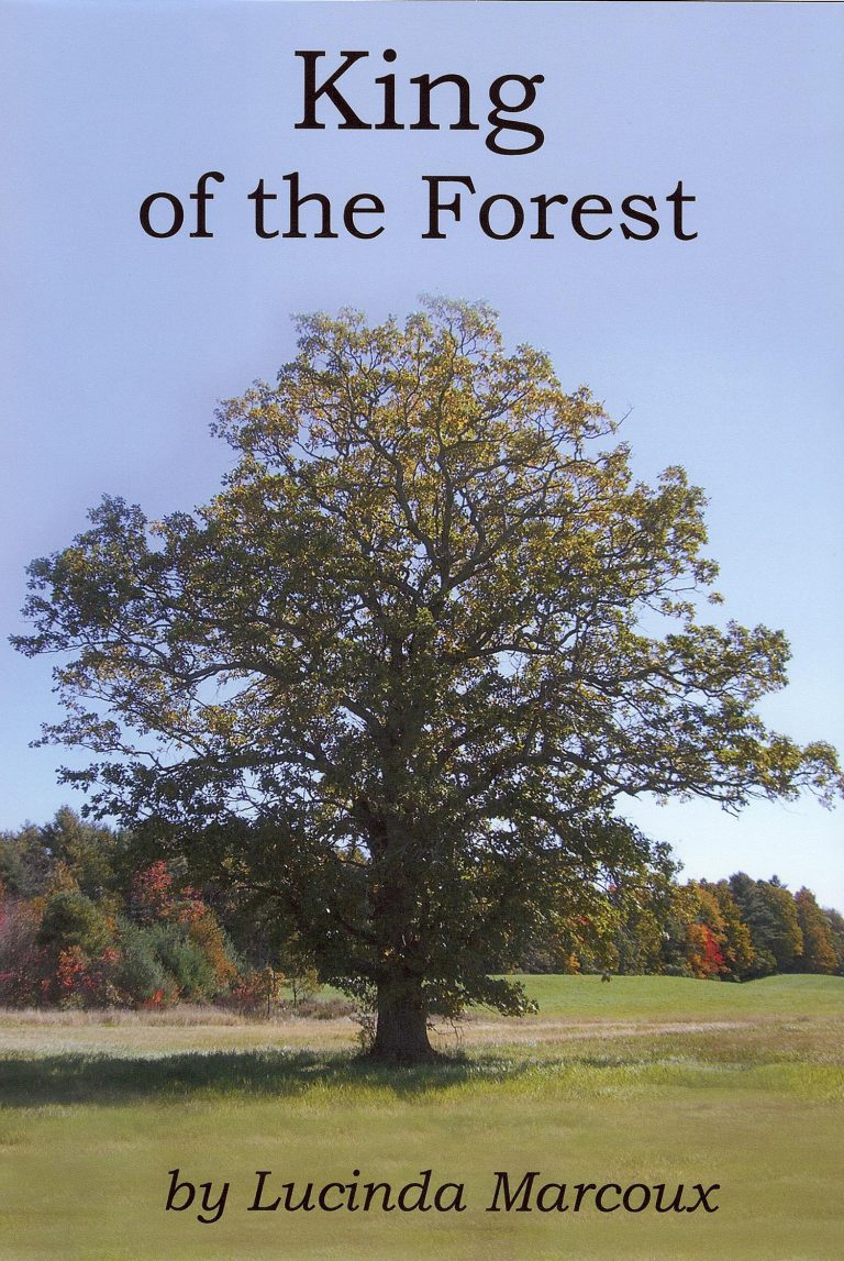 King of the Forest – Pear Tree Publishing